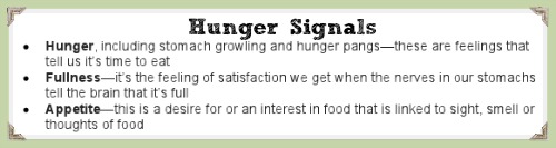 hunger signals - Eighty MPH Mom | Lifestyle Blog